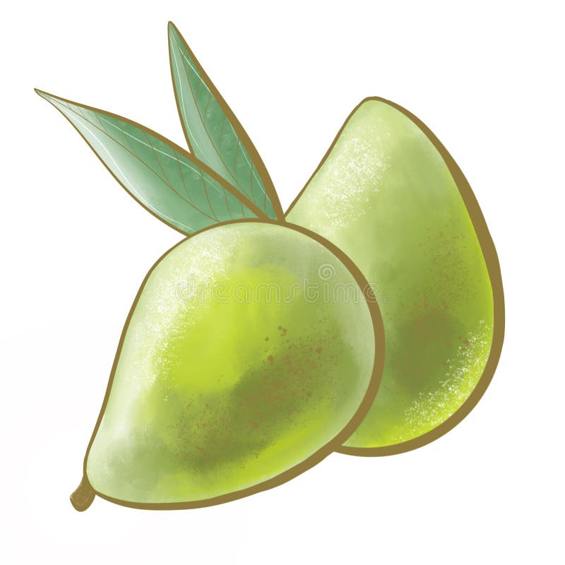 Fruits Ambarella Stock Illustrations – 93 Fruits Ambarella Stock ...