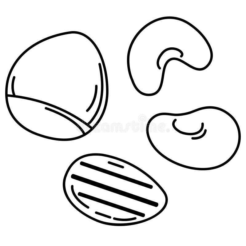 Coloring Nut Stock Illustrations – 1,021 Coloring Nut Stock ...