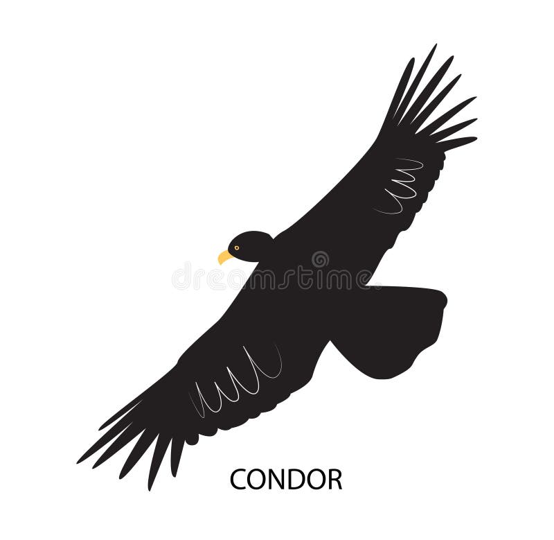 Condor Bird Design Silhouette Vector Stock Vector - Illustration of ...
