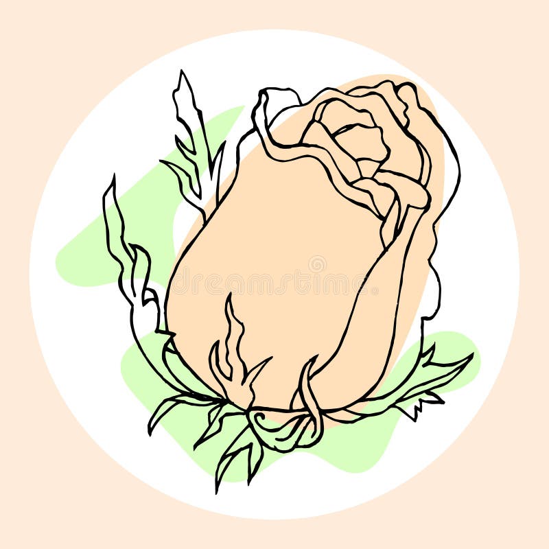 Illustration, Contour of a Drawn Rose, Painted in Gentle Colors, for ...