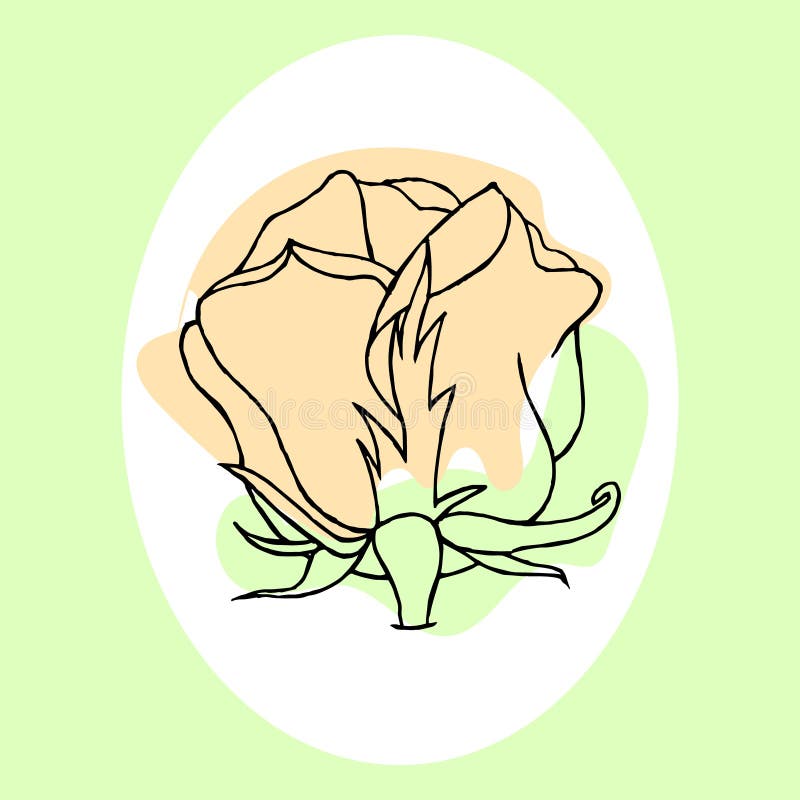 Illustration, Contour of a Drawn Rose, Painted in Gentle Colors, for ...