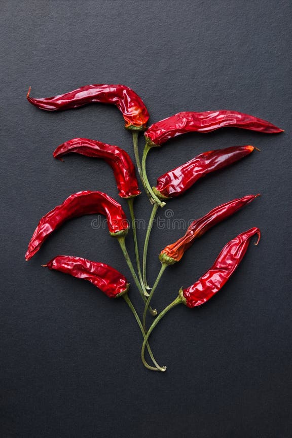 Art Culinaire Créatif. Arbre-buisson Fait De Piments Séchés Sur Fond ...