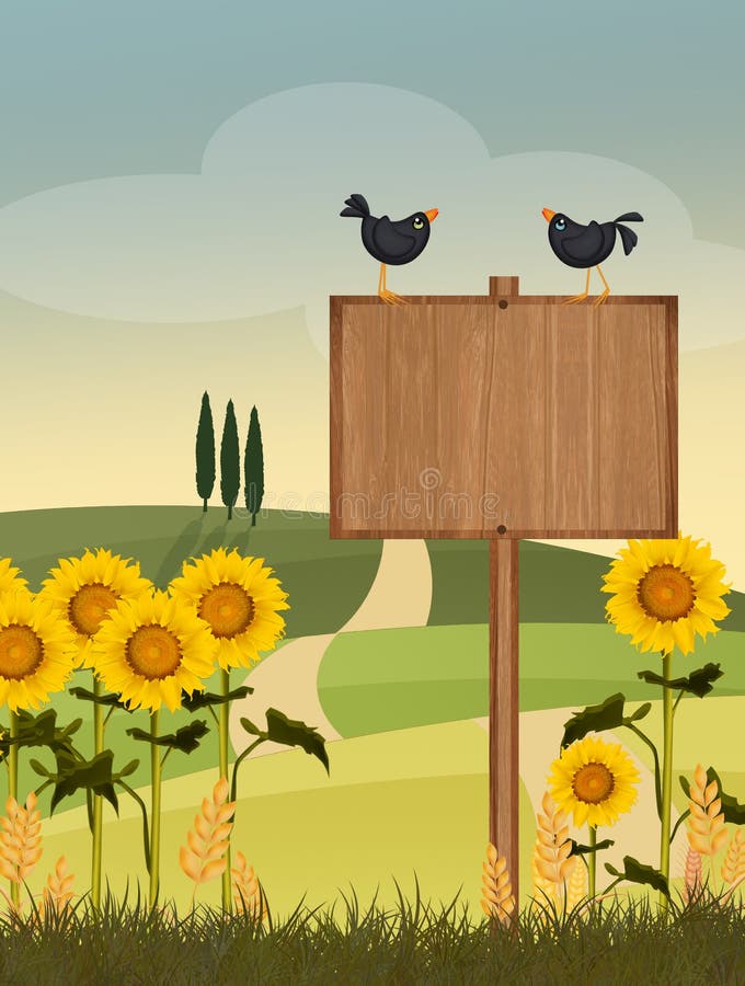 Crows on the sign stock illustration. Illustration of nature - 119340914