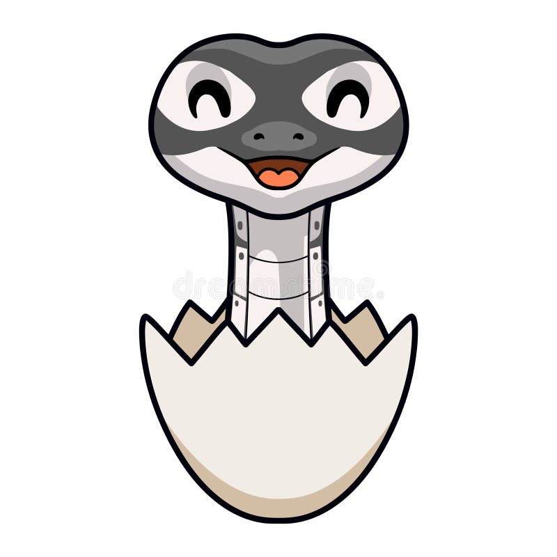 Cute Axanthic Ball Python Cartoon Inside an Egg Stock Vector ...