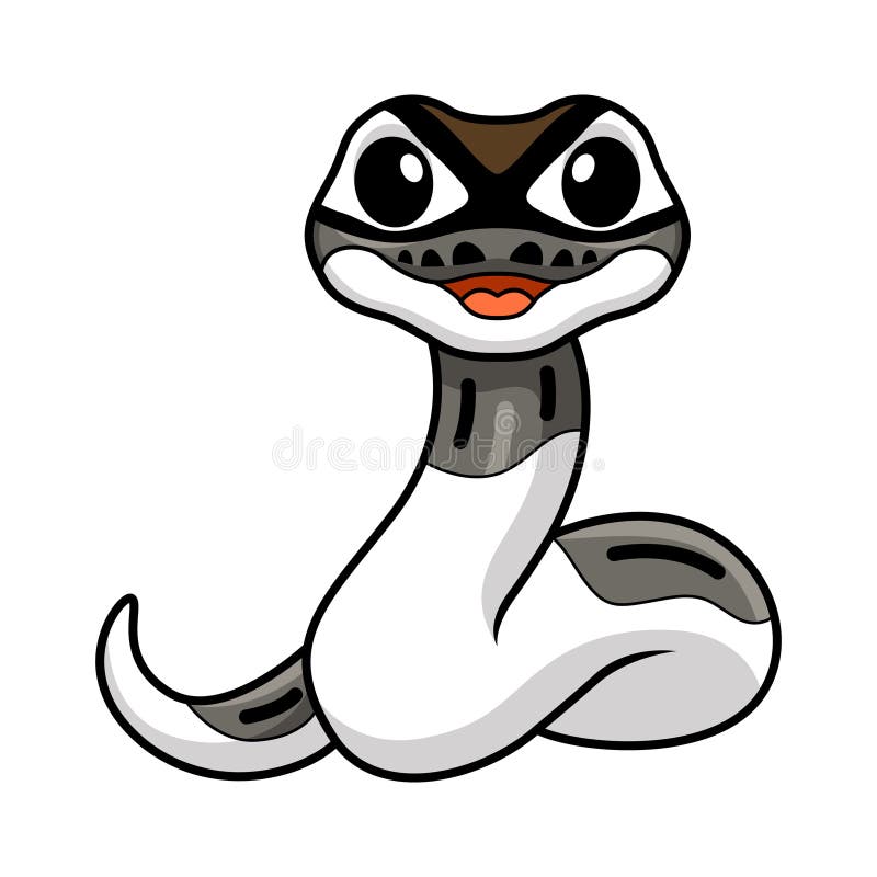 Cute Axanthic Pied Ball Python Cartoon Stock Vector - Illustration of ...