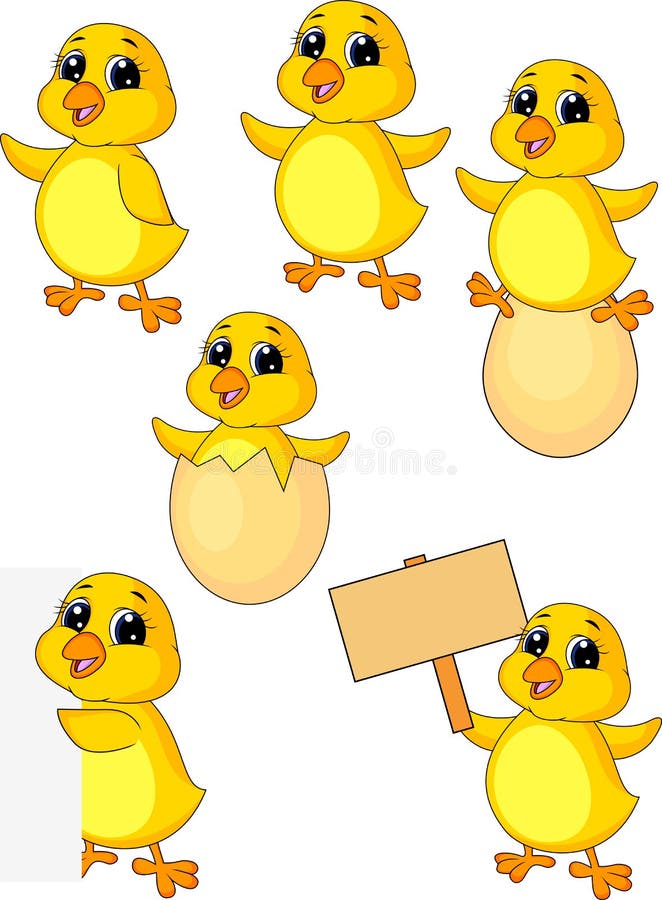 Cute Baby Chicken Cartoon Set Stock Vector - Illustration of chicken ...