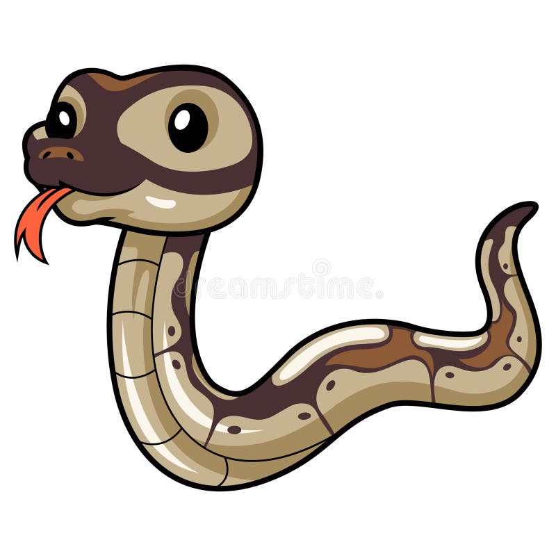 Cute Black Head Butter Ball Python Cartoon Stock Illustration ...