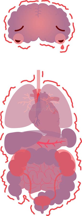 Illustration of Cute Blue Human Organs Stock Vector - Illustration of ...