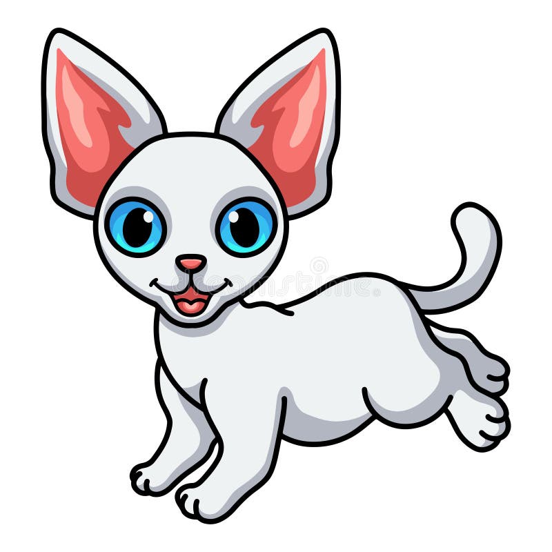Cute Devon Rex Cat Cartoon Jumping Stock Vector - Illustration of ...