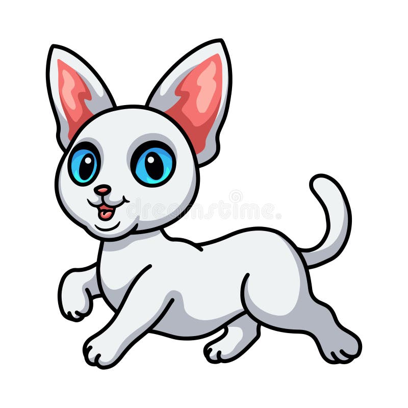 Cute Devon Rex Cat Cartoon Raising Hands Stock Vector - Illustration of ...