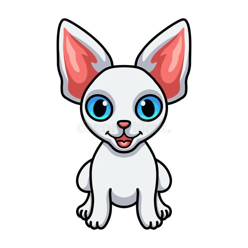 Cute Devon Rex Cat Cartoon Sitting Stock Vector - Illustration of ...