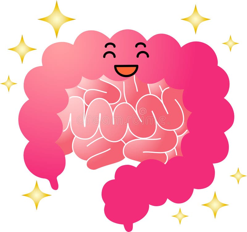 Illustration of a Cute Gradation Large Intestine and Small Intestine ...