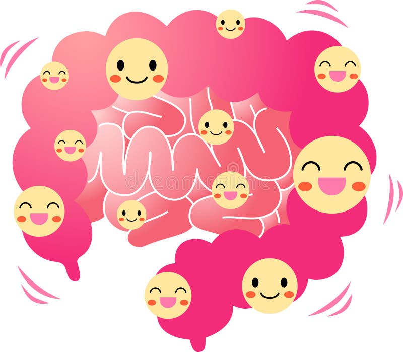 Illustration of a Cute Gradation Large Intestine and Small Intestine ...