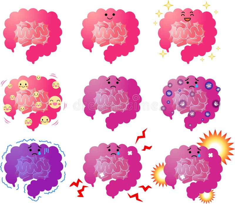 Illustration of a Cute Gradation Large Intestine and Small Intestine ...