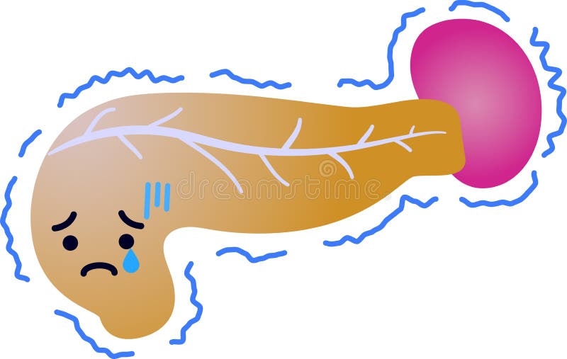 Cute Pancreas Stock Illustrations – 696 Cute Pancreas Stock ...