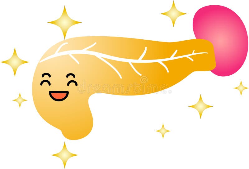 Cute Pancreas Stock Illustrations – 696 Cute Pancreas Stock ...