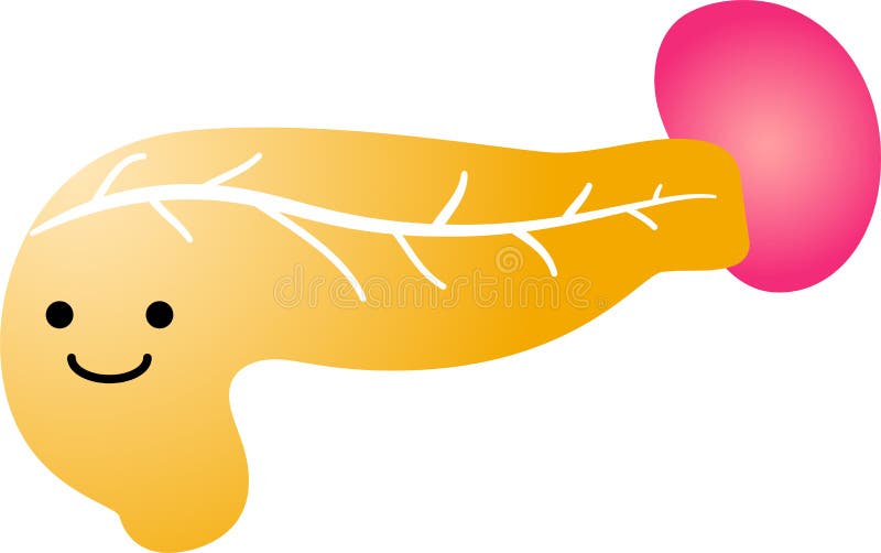 Cute Pancreas Stock Illustrations – 696 Cute Pancreas Stock ...