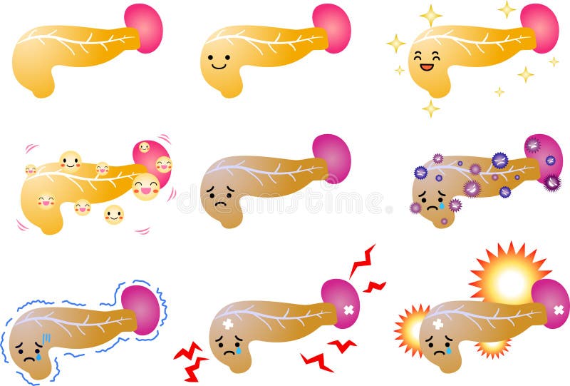 Cute Pancreas Stock Illustrations – 696 Cute Pancreas Stock ...