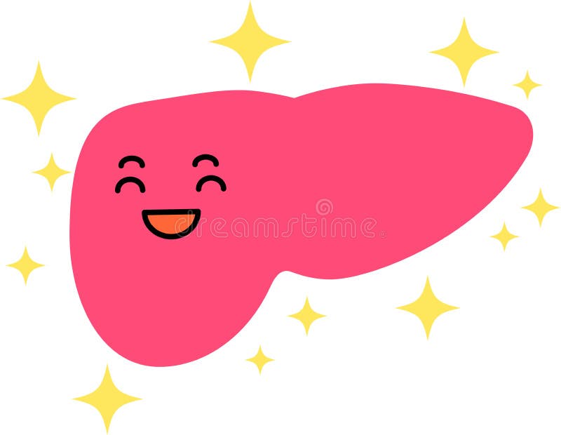 Illustration of a Cute Liver Stock Vector - Illustration of vector ...