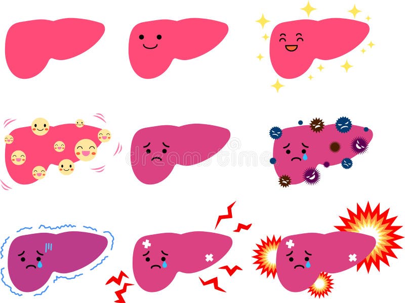 Illustration of a Cute Pancreas and Spleen Outline Set Stock Vector ...