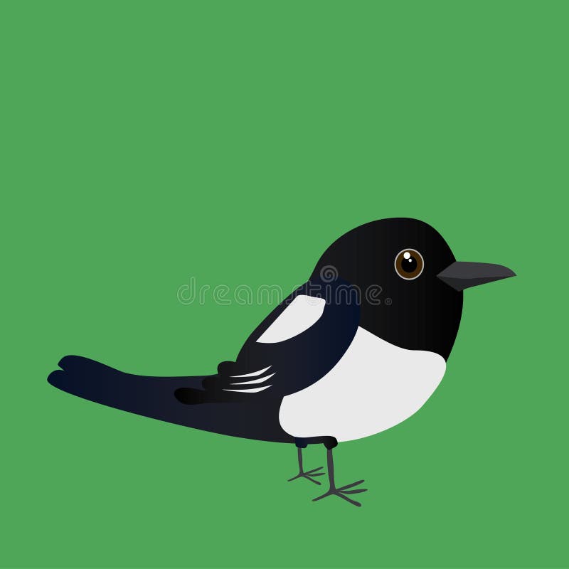 Magpie stock vector. Illustration of robber, wildlife - 82191364