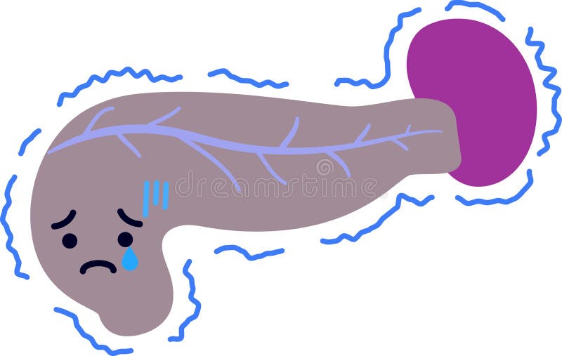 3D Illustration of Pancreas - Cut Section Stock Illustration ...