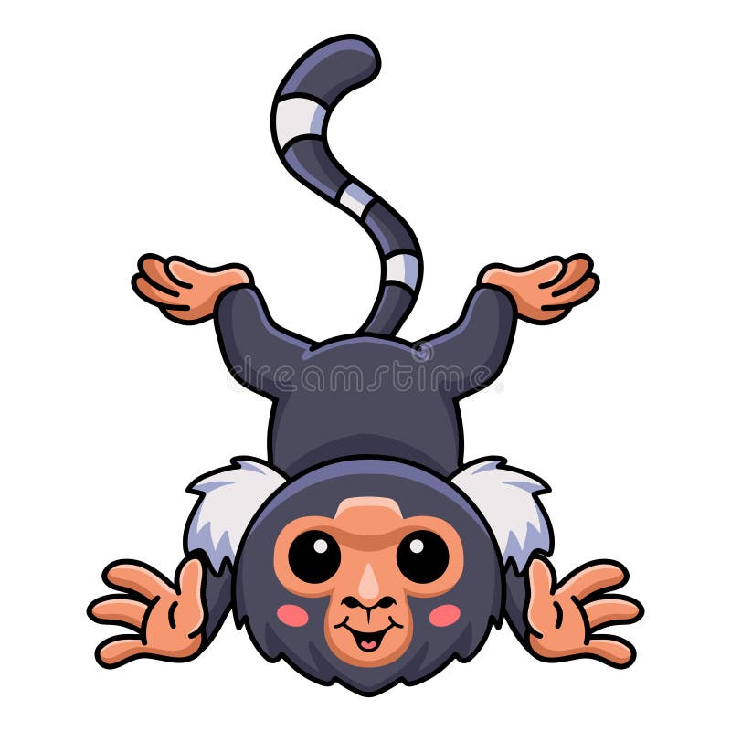 Cute Pygmy Marmoset Monkey Cartoon Posing Stock Vector - Illustration ...