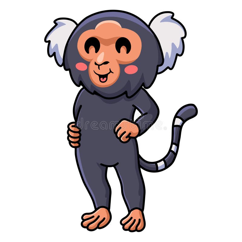 Cute Pygmy Marmoset Monkey Cartoon Standing Stock Vector - Illustration ...