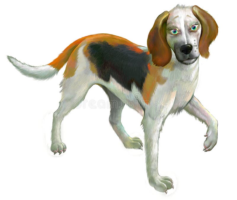 Foxhound dog breed stock vector. Illustration of illustration - 36507190