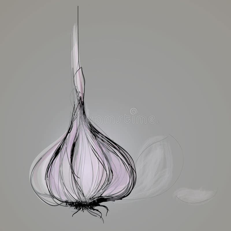 Ail Dessin Original D'aquarelle Illustration Stock - Illustration du ...