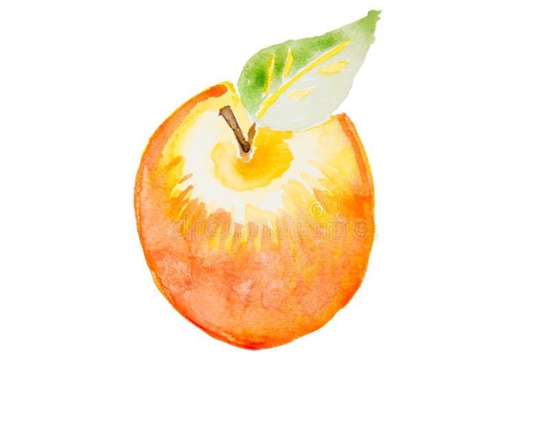 Illustration D'aquarelle D'une Pomme Illustration Stock - Illustration ...