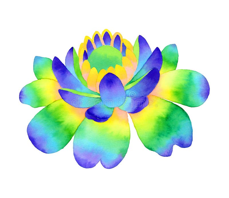 Illustration D'aquarelle De Fleur D'arc-en-ciel Illustration Stock ...