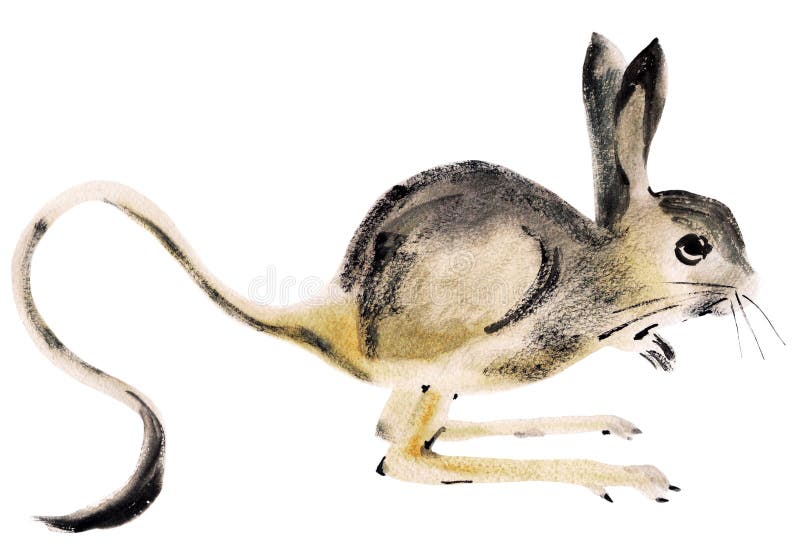 Illustration D'aquarelle De Gerboise Illustration Stock - Illustration ...