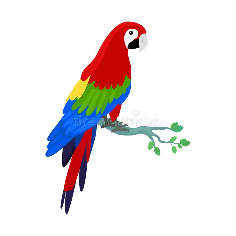 Illustration D'Ara Parrot Flat Design Vector Illustration de Vecteur ...