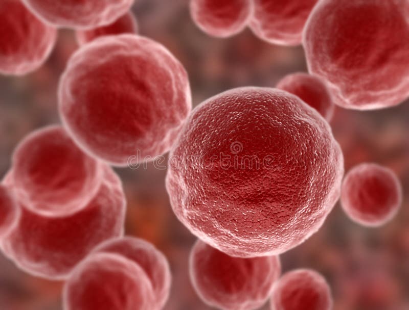 Illustration De Cellules Dans Le Corps Humain Illustration Stock ...