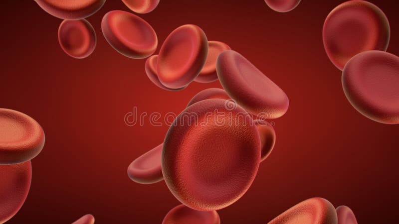 Illustration 3d Des Globules Rouges Illustration Stock - Illustration ...