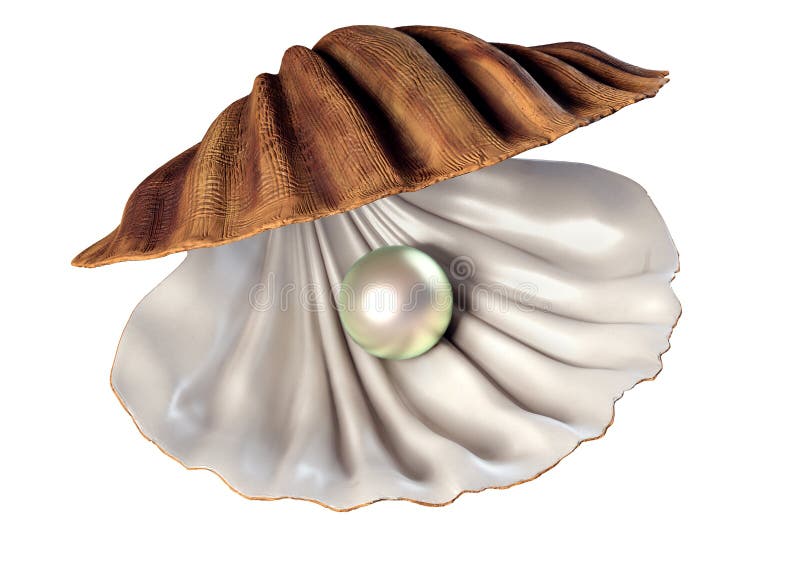 Muschel Mit Perle Stock Illustrationen, Vektors, & Klipart – (162 Stock ...
