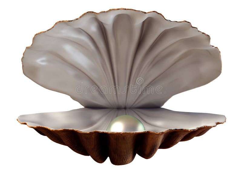 Muschel Mit Perle Stock Illustrationen, Vektors, & Klipart – (162 Stock ...