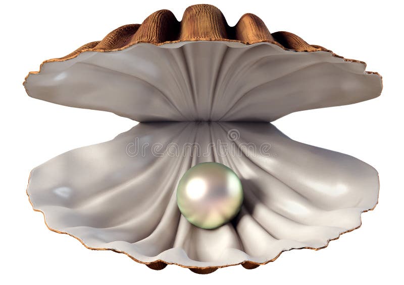 Illustration 3d Einer Muschel Mit Perle Stock Abbildung - Illustration ...