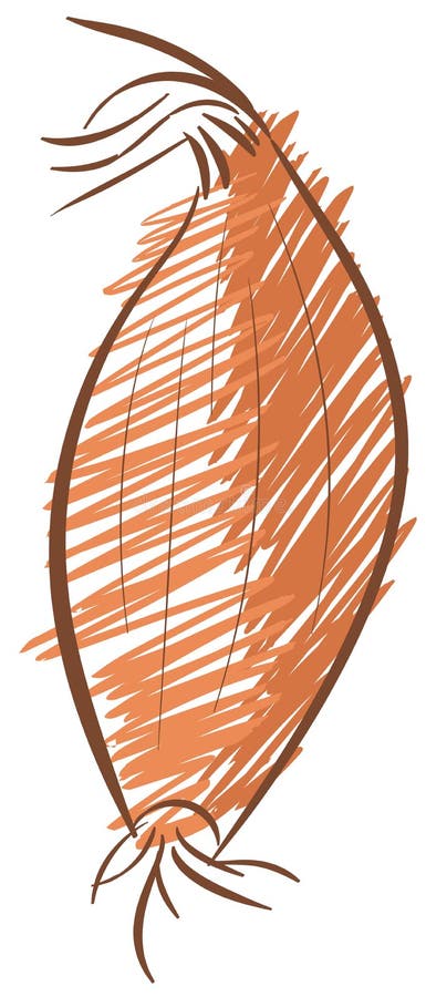 Illustration D'isolement Par échalote Stylisée Illustration Stock ...