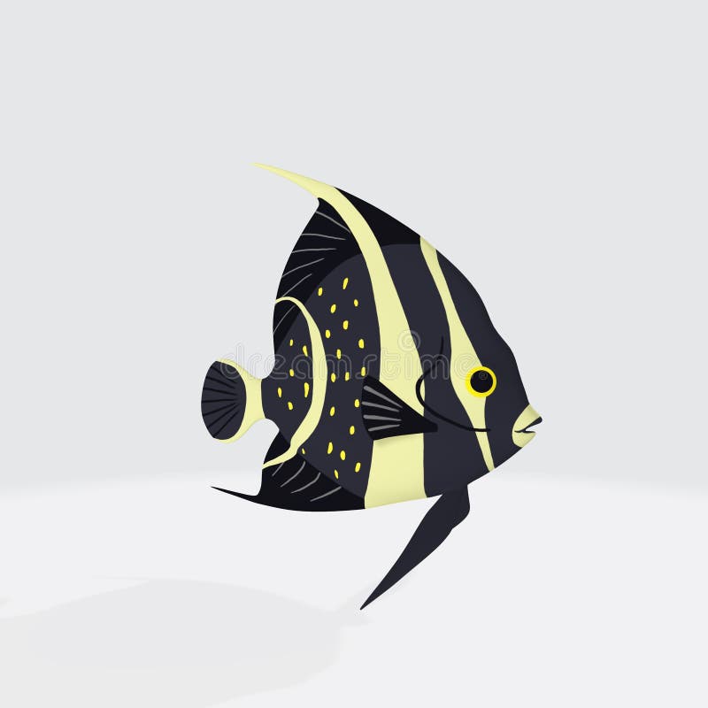 French Angelfish Stock Illustrations – 47 French Angelfish Stock ...