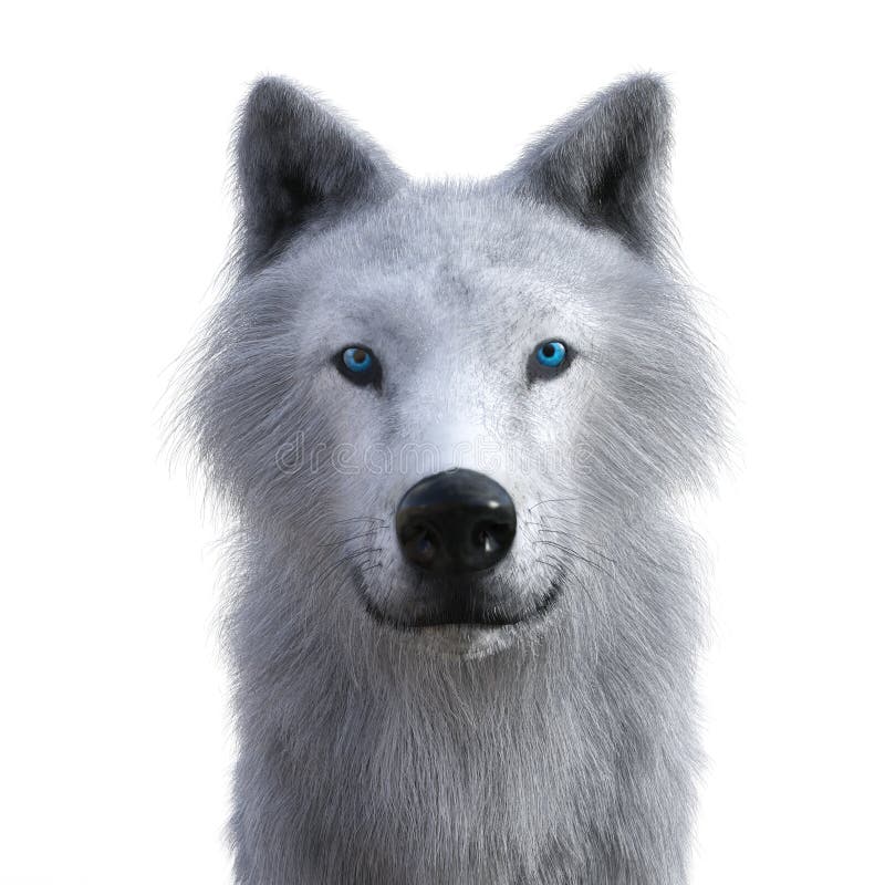 Illustration 3D d'un loup illustration stock. Illustration du noir ...