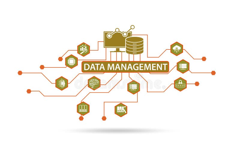 Illustration of Data Management Concept Stock Illustration ...