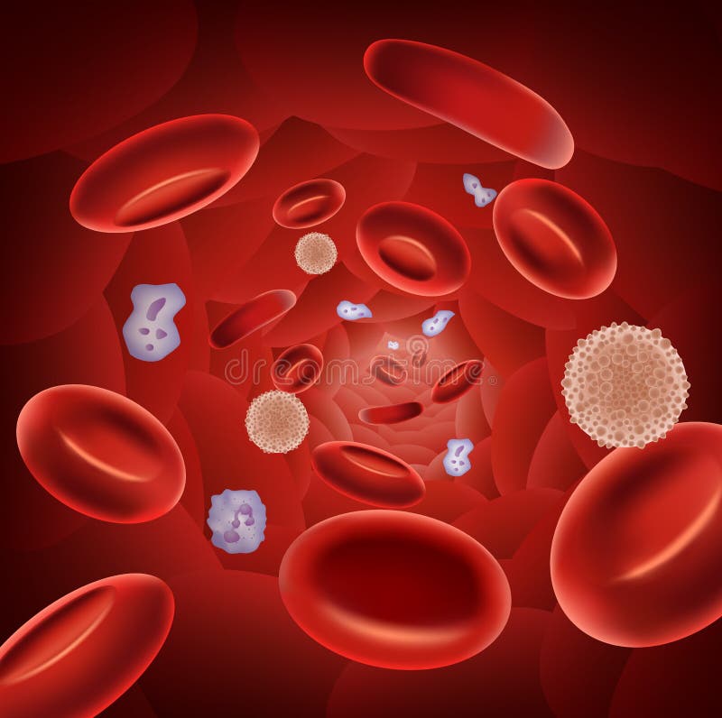 Globules Rouges - Illustration Illustration Stock - Illustration du ...