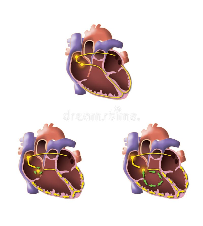 Illustration de coeur illustration stock. Illustration du bandeau ...