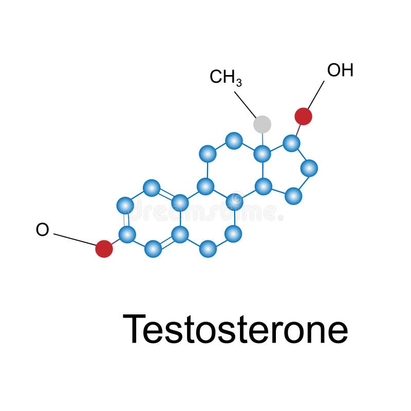 Illustration De Formule De Testostérone Illustration De Vecteur