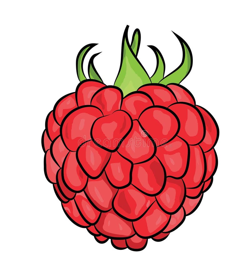 Illustration de framboise illustration stock. Illustration du ananas ...