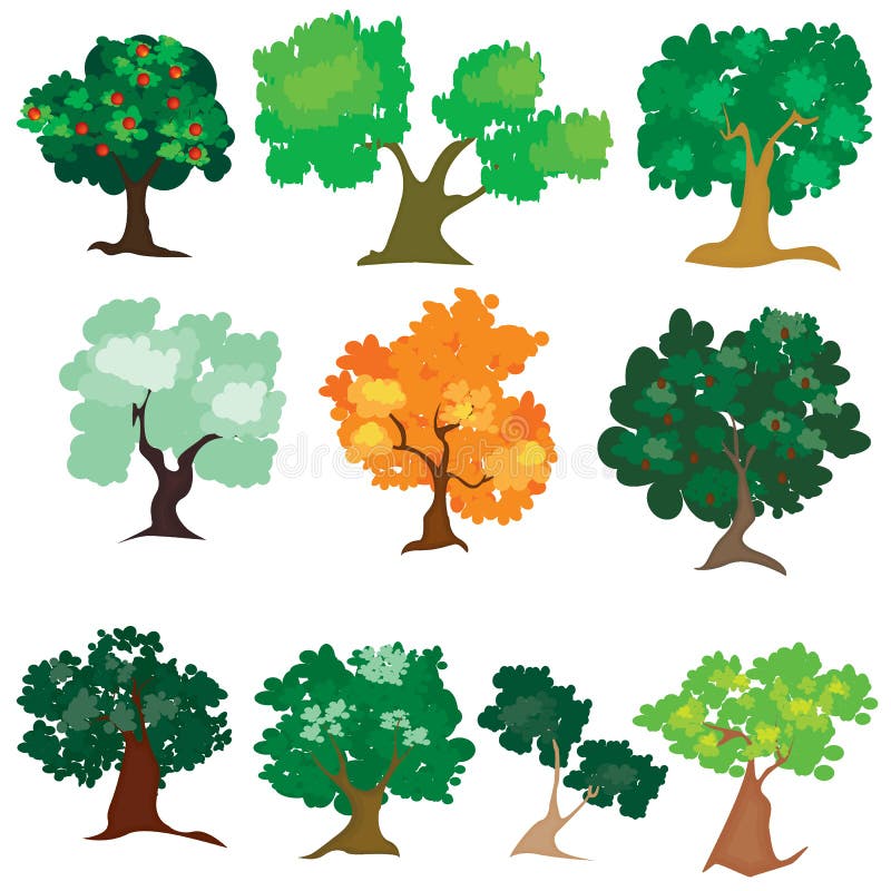 Illustration De Genre Différent D'arbre Illustration Stock ...