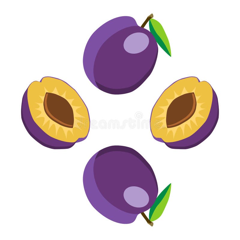 Illustration De Logo Pour La Prune Illustration de Vecteur ...