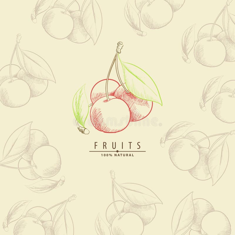 Illustration de merise illustration de vecteur. Illustration du ...